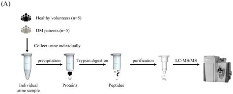 Proteomes Free Full Text Proteome Profiling Of Diabetic Mellitus