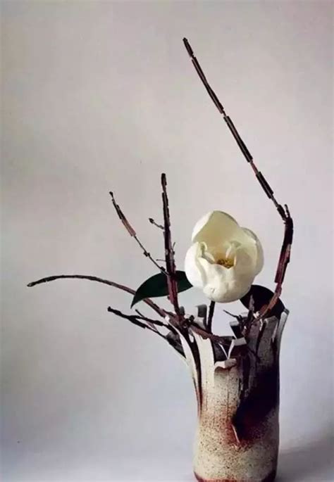 花道 花道里完美的中国意境