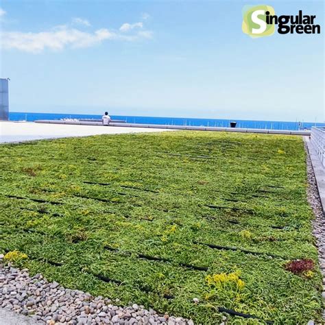 Ejemplos De Soluciones Basadas En La Naturaleza