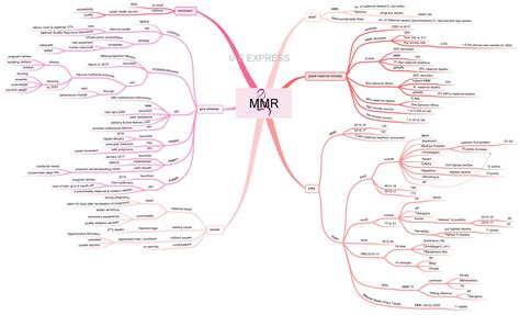 Maternal Mortality Ratio Mmr In India Reasons And Responses Upsc