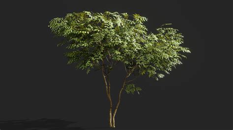 Tree In Blender 2 8 Finished Projects Blender Artists Community