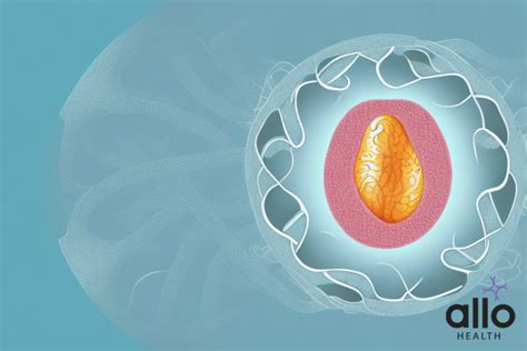 Dr Prafulla T P Understanding Vaginal Bleeding After Fingering