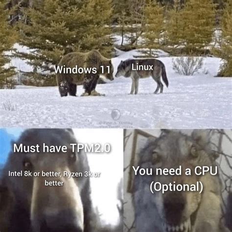 News Microsoft Windows Sudo Findet Seinen Weg Von Linux Nach Redmond ComputerBase Forum