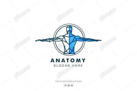 لوگو انسان با دست های باز، لوگو وکتور آناتومی پیکاسور