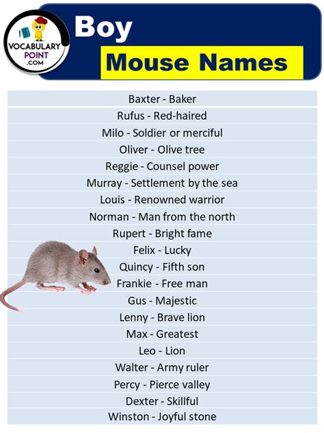 600 Best Mouse Names Cool Cute And Funny Vocabulary Point