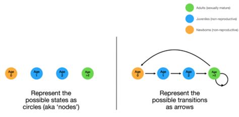 lecture 4 matrix projection models a conservation ecology toolbox