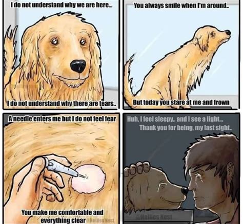 Ido Not Understand Why We Are Here You Always Smile When Im Around