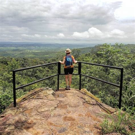 Chapada do Araripe a atração arqueológica imperdível no nordeste