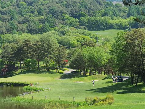 골린이의 선택 유튜브 독학 Vs 프로레슨 장단점