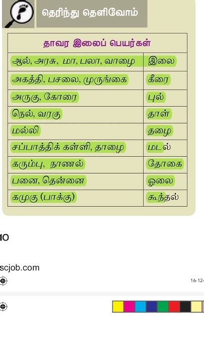 Tnpsc Group 4 Tamil தாவர இலை பெயர்கள் 2024 Youtube