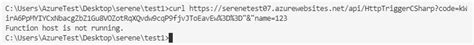 Display Function Host Is Not Running After Deploying C Projects