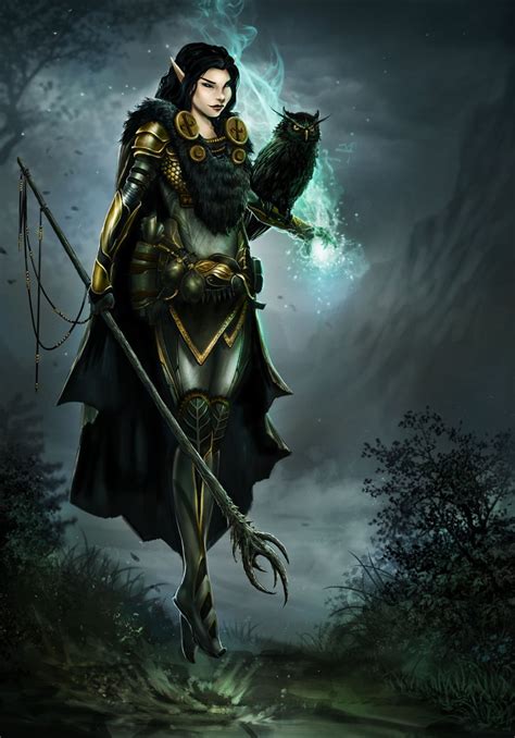 Ian Boe Dandd Elf Wizard