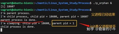 彻底搞懂孤儿僵尸守护进程 知乎