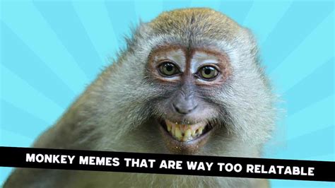 Severance Memes That Will Make Your Innie And Outie Laugh