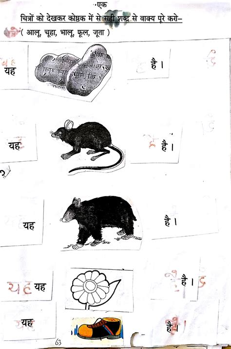 Hindi Grammar Work Sheet Collection For Classes 5 6 7 8 Singular