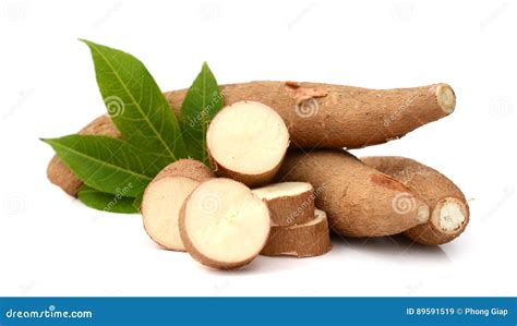 Cassava Stock Image Image Of Nation Meal Rough Cassava 89591519