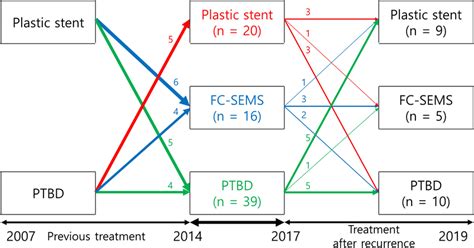 Flow Chart Showing Previous Treatments And Treatments After Recurrence