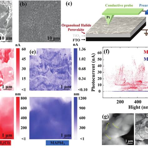 Morphology Of A MAPbI 3 Cl And B MAPbI 3 Perovskite C Schematic