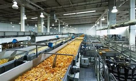 Food Processing Units In All Segments Of Ap