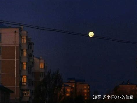 史铁生有哪些经典语录？ 知乎