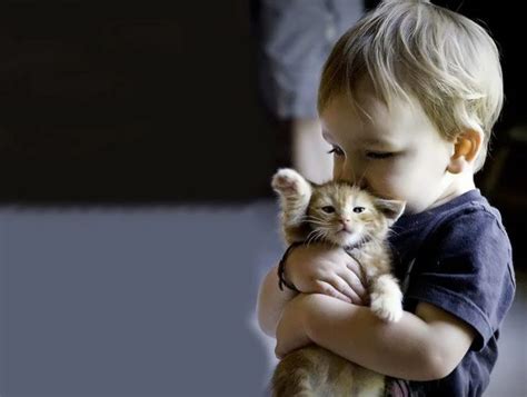 Чем кормить котенка 2 месяца натуральный или сухой корм Сколько корма давать