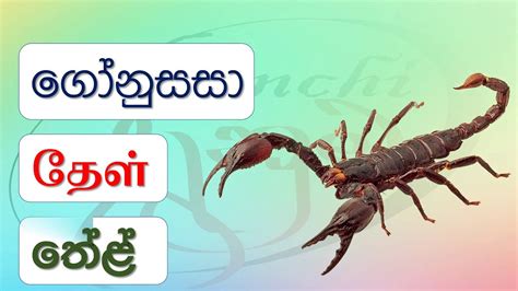 Sinhala Alphabet With Pictures සිංහල හෝඩිය පින්තූර