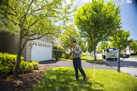 How To Care For Your Newly Planted Trees Important Tips
