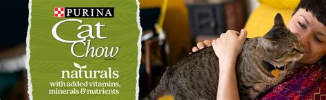 Purina Indoor Cat Chow Hairball And Healthy Weight 3 15 Lbs