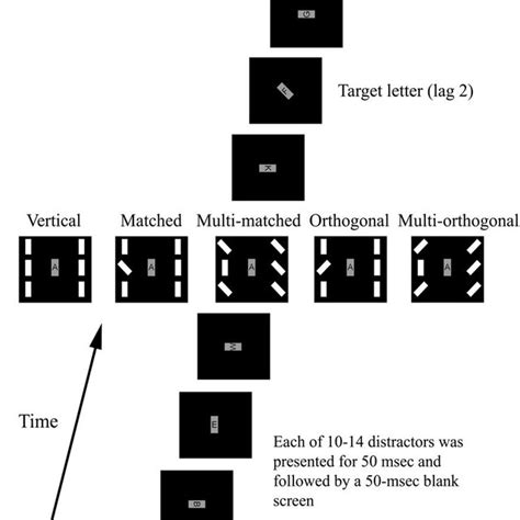 Schematic Representation Of Events In Experiment 3 Download