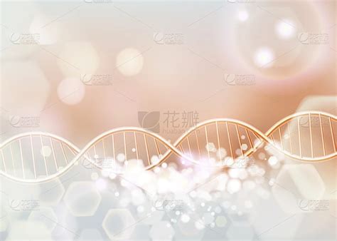 金色dna结构矢量背景。美容护肤奢侈化妆品概念。分子结构。3 D。模糊明亮的散景背景。素材 花瓣网