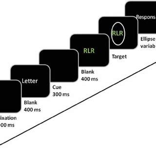 Example Of A Trial Sequence In Experiment 1 Download Scientific Diagram