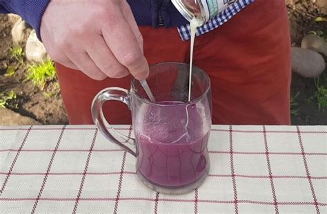 Chilean Pink Panther Cocktail Recipe Chilean Food Recipes™