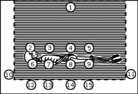 Example Of Point Sampling Pattern Download Scientific Diagram