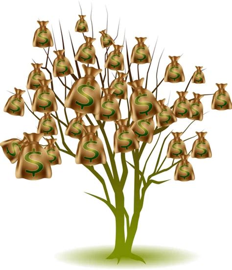 Money Tree Dollar Sign Vector Illustration Stock Vector By