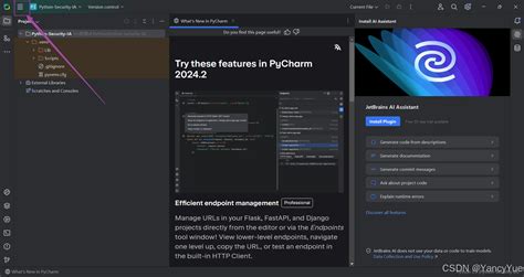 Pycharm Pro 2025年安装持续更新 pycharm官网 CSDN博客