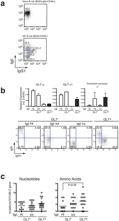 Class Switching Events In Gc B Cells A Expression Of Igg1 And Igβ In
