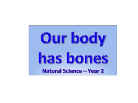 We Have Bones Ppt