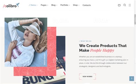 Install Wordpress Setup Premium Theme Do Customization By