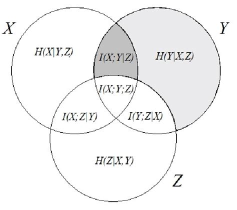 conditional mutual information eq 5 between x y and z download