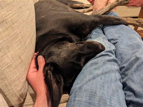 Stage 10 Clinger Rmalinois