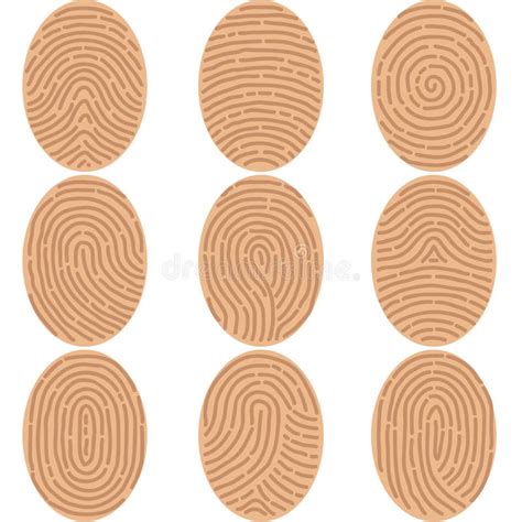 Fingerprints Icon Stock Illustration Illustration Of Human 89040165
