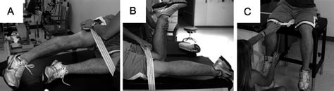 Strength Testing Positions A Hip Abduction B Hip Extension C Hip