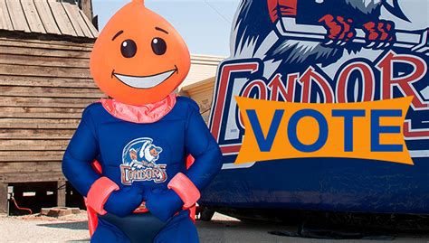 Vote Now Final Eight Names For New Mascot