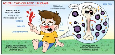 U Path Wbc Disorders Flashcards Quizlet