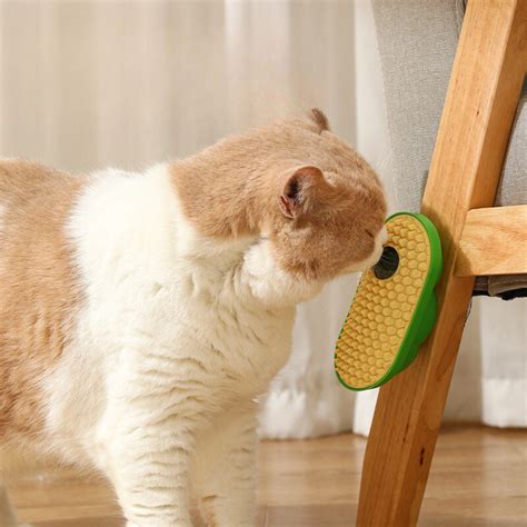 Avacado Catnip Catnip Grooming Brush Pawpycup