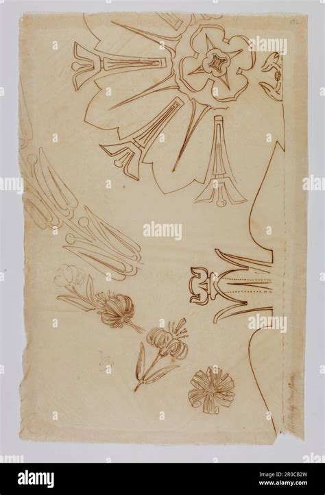 Wilkinson Tracing Design For Ornament 1820 Ink On Tracing Paper