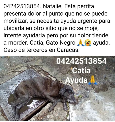 Mar Educar al corazón para despertar la grandeza on Twitter RT