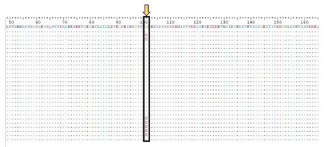 A Fragment Of The Multiple Sequence Alignment Of Pyruvate Kinase