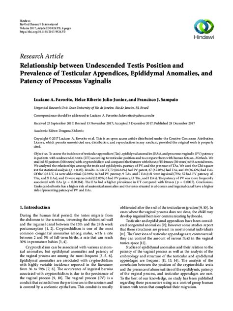 Pdf 340 Relationship Between Undescended Testis Position And Prevalence Of Testicular