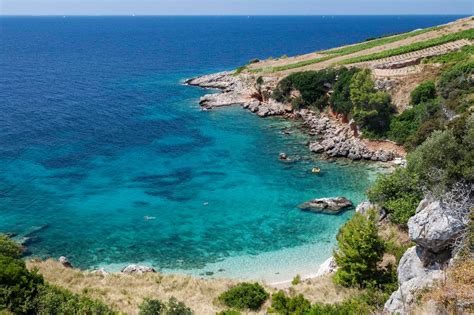 Croatian Wine Deserves A Spot In Your Cellar Heres Why Plus 12 To Find